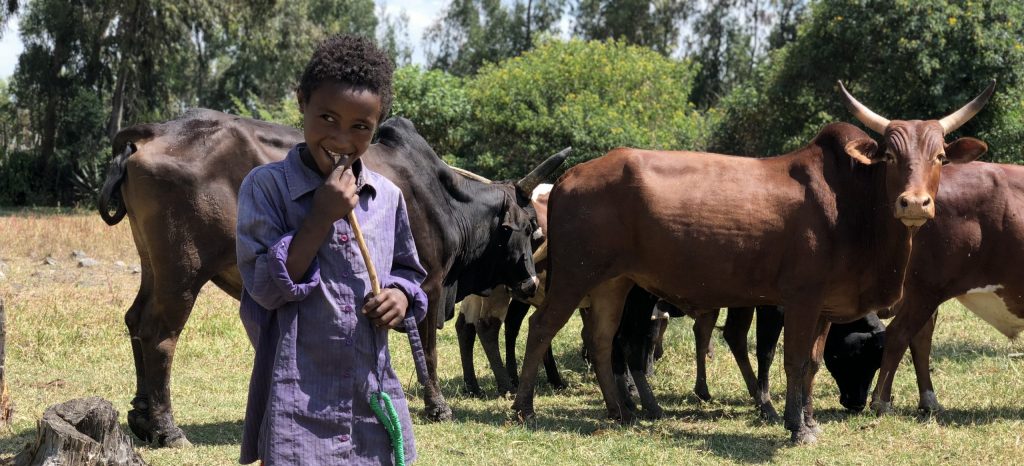 Help kinderen als Adisu terug naar school | Edukans