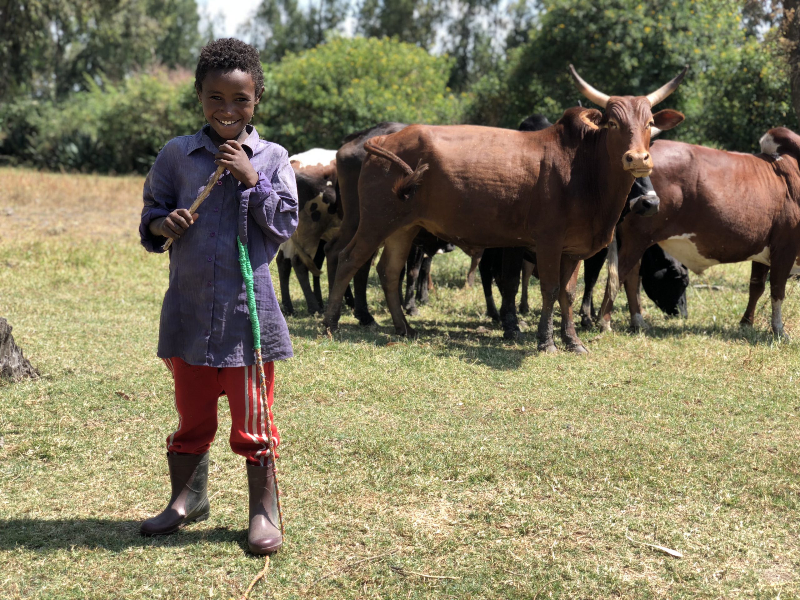 Help kinderen als Adisu terug naar school | Edukans